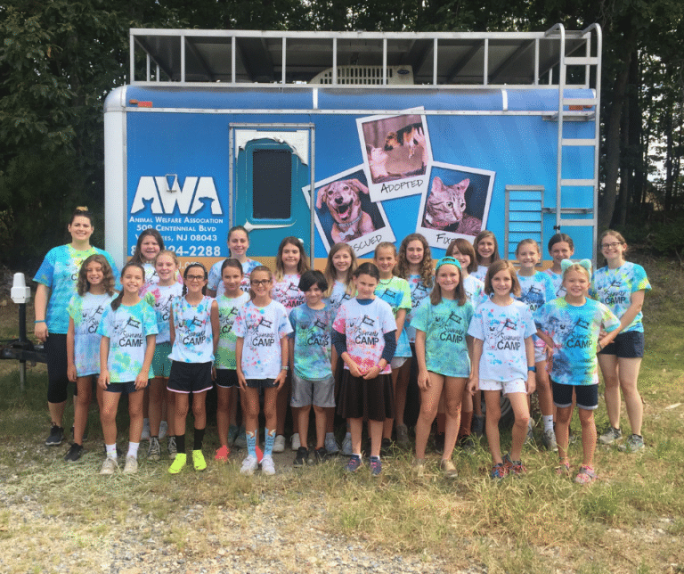 Affordable Summer Camp for Animal Lovers | Animal Welfare Association