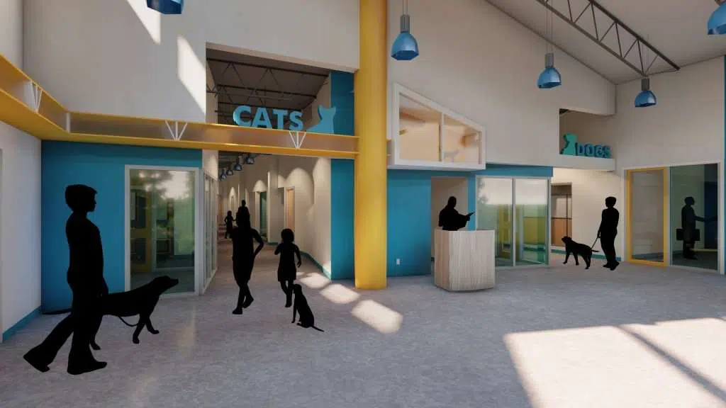 Donate to Our New Adoption Center | Animal Welfare Association