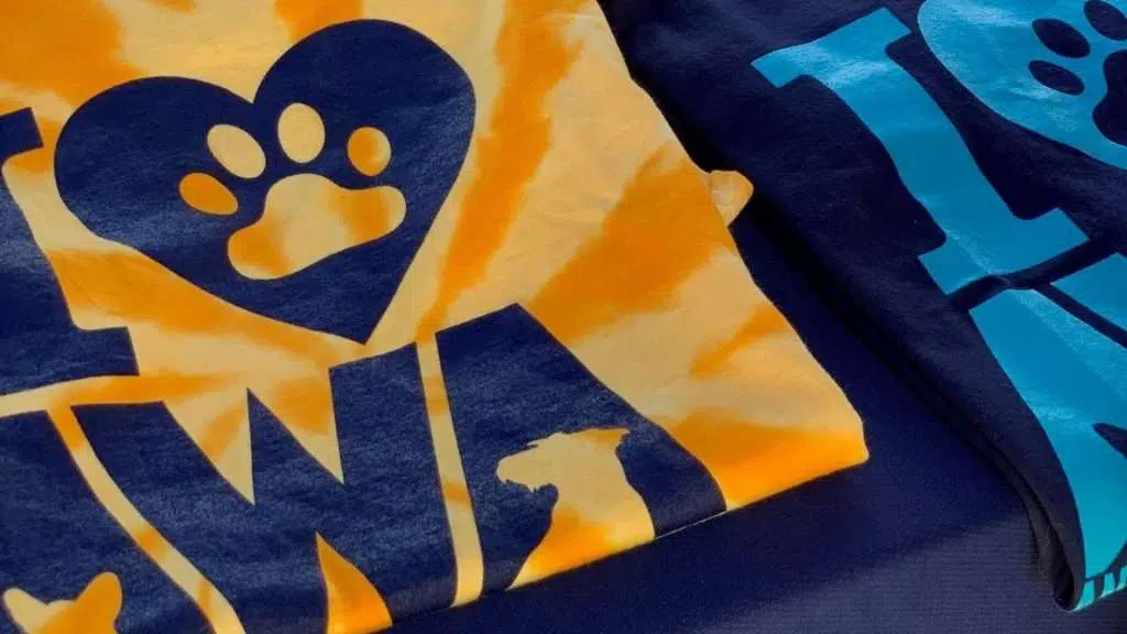 Donate to Our New Adoption Center | Animal Welfare Association