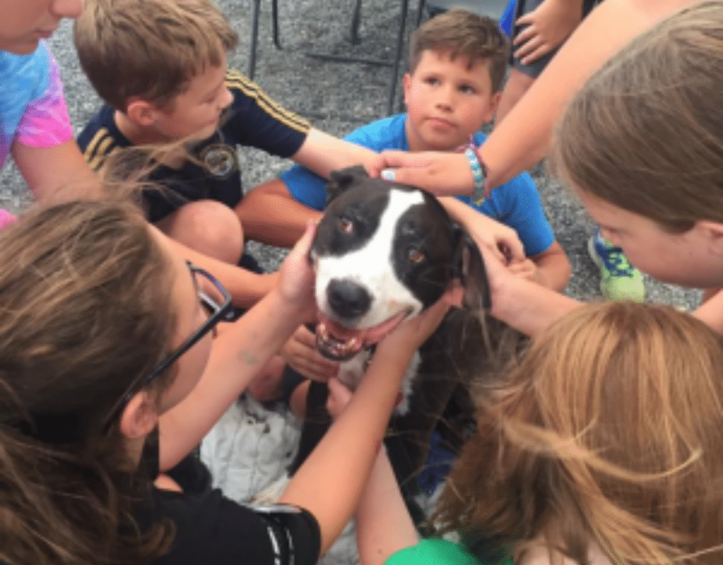 Year Round Day Camps | Animal Welfare Association