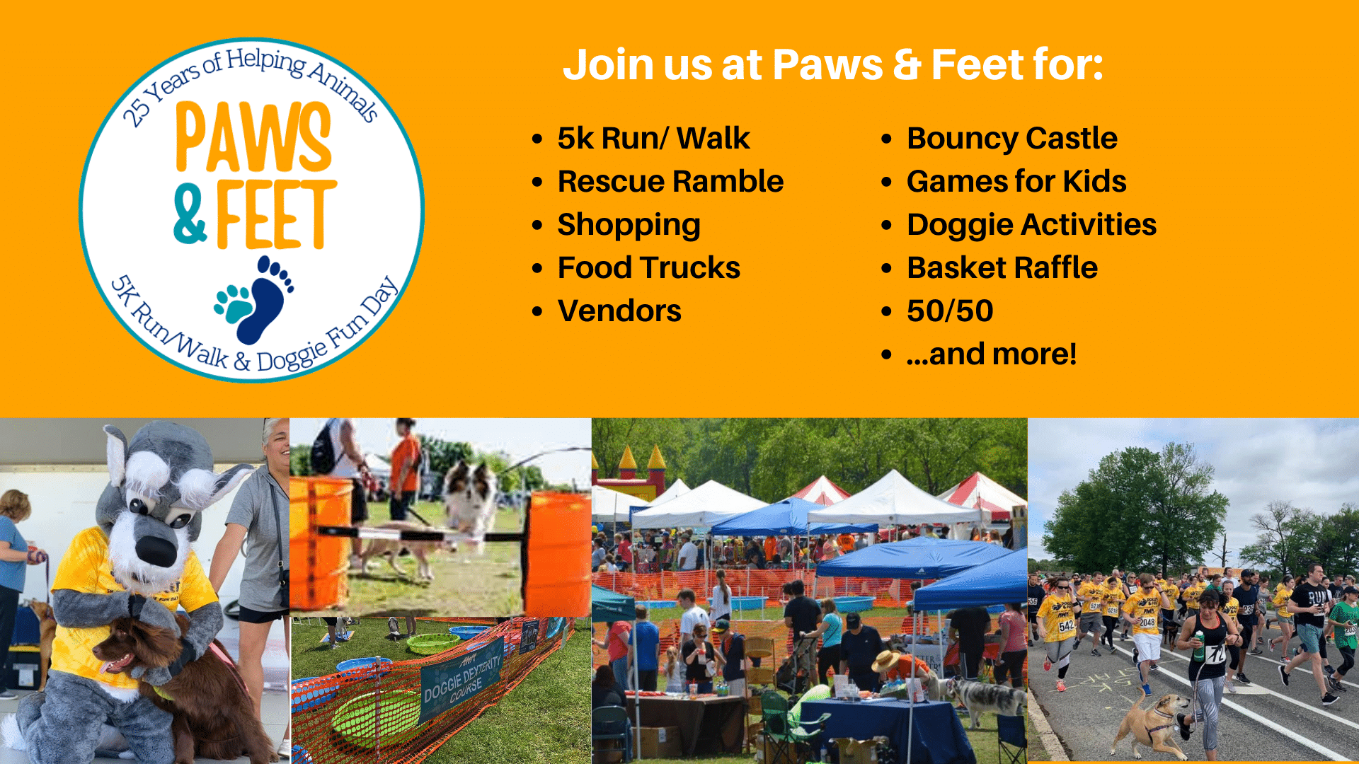 Home | Animal Welfare Association