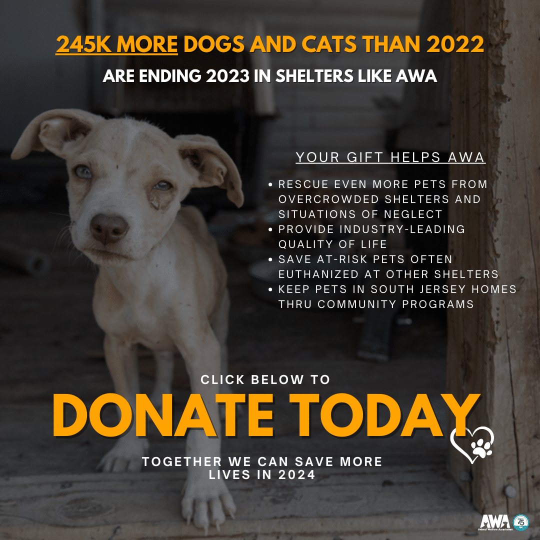 Contact | Animal Welfare Association