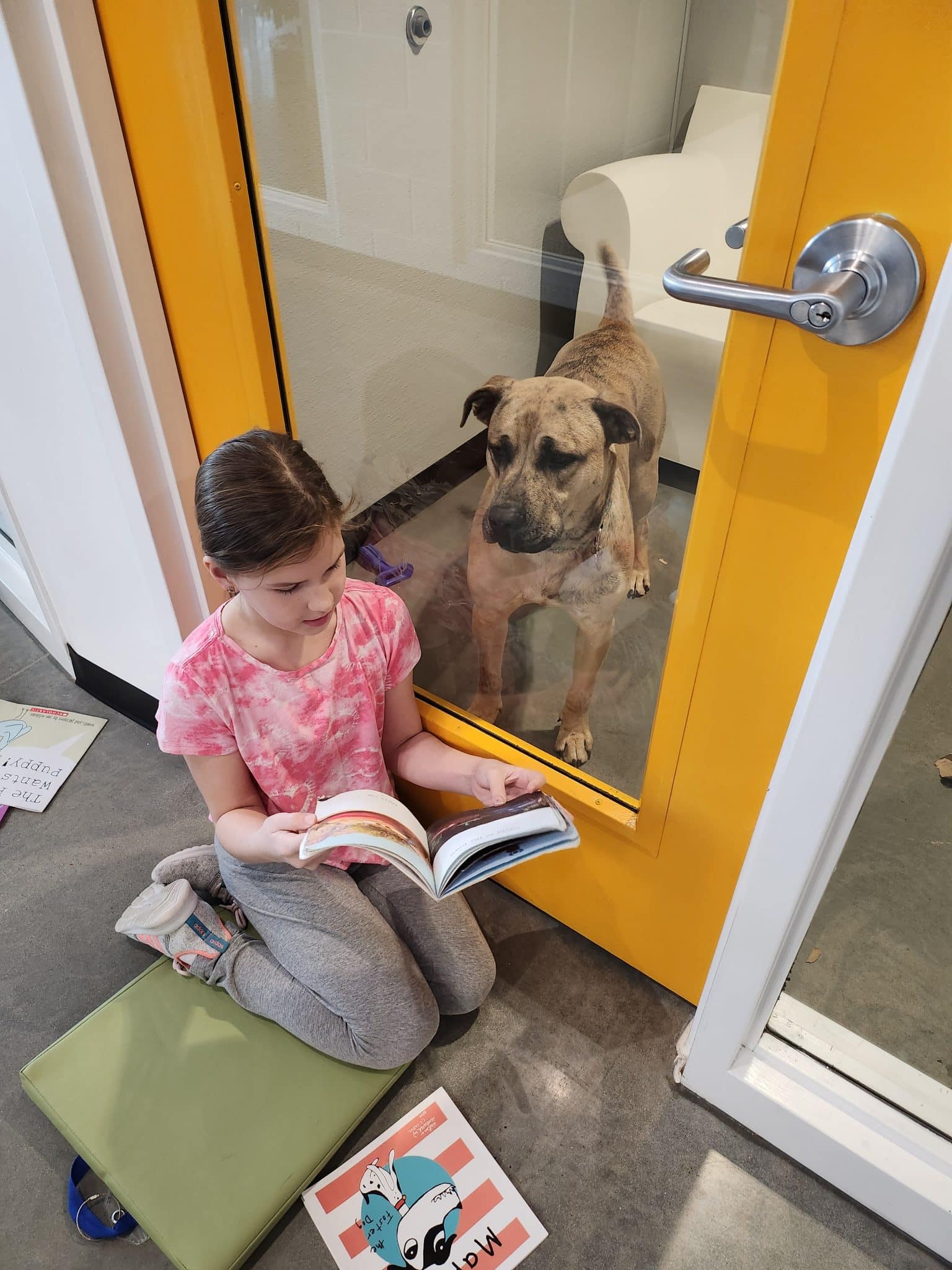 Tales with Tails | Reading Program for Animal Lovers | AWANJ