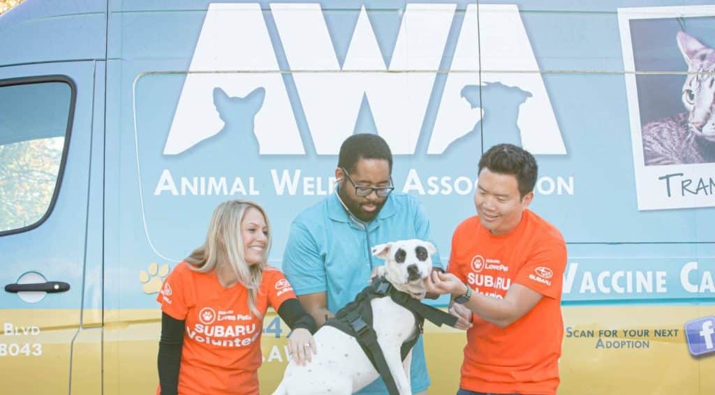 Community Outreach Programs | Animal Welfare Association