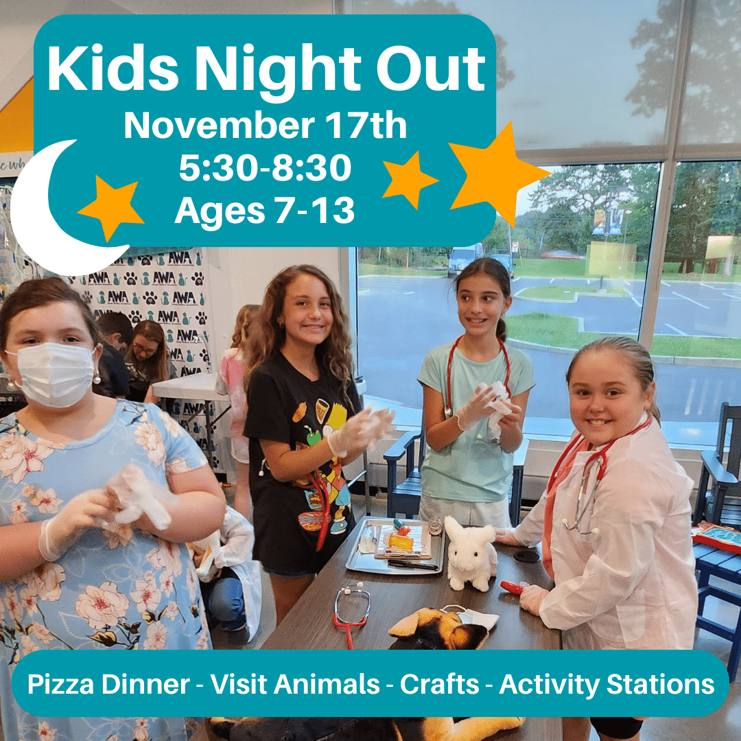 Fun Kids Activity Nights | Voorhees NJ | Animal Welfare Association