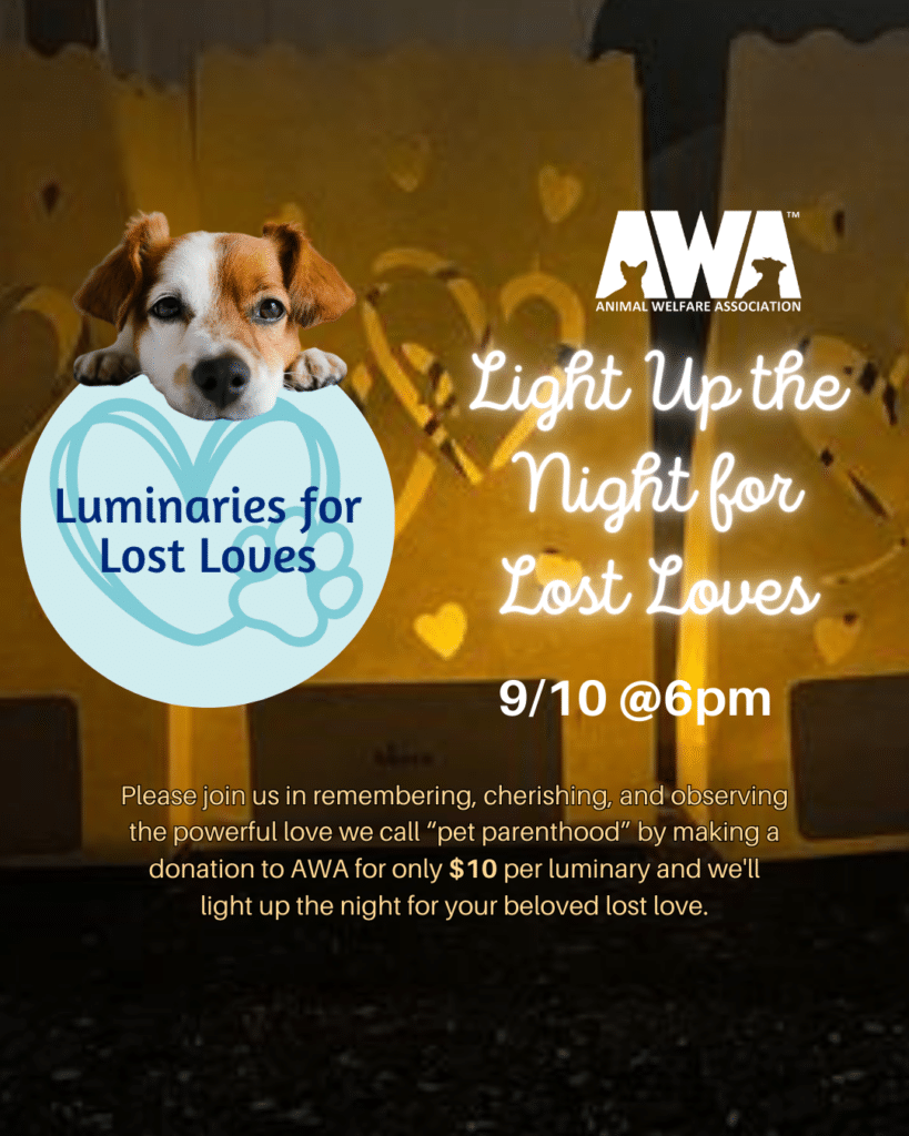 Volunteer With Animals | Voorhees NJ | Animal Welfare Association