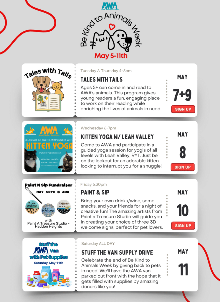 Maria Giorla | Animal Welfare Association