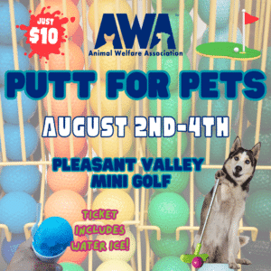 Events Happening in South Jersey | Animal Welfare Association