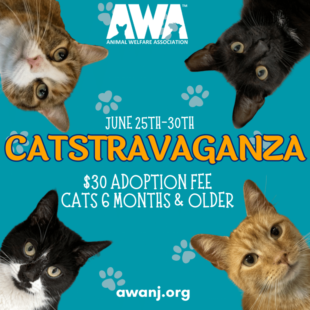 Events Happening in South Jersey | Animal Welfare Association