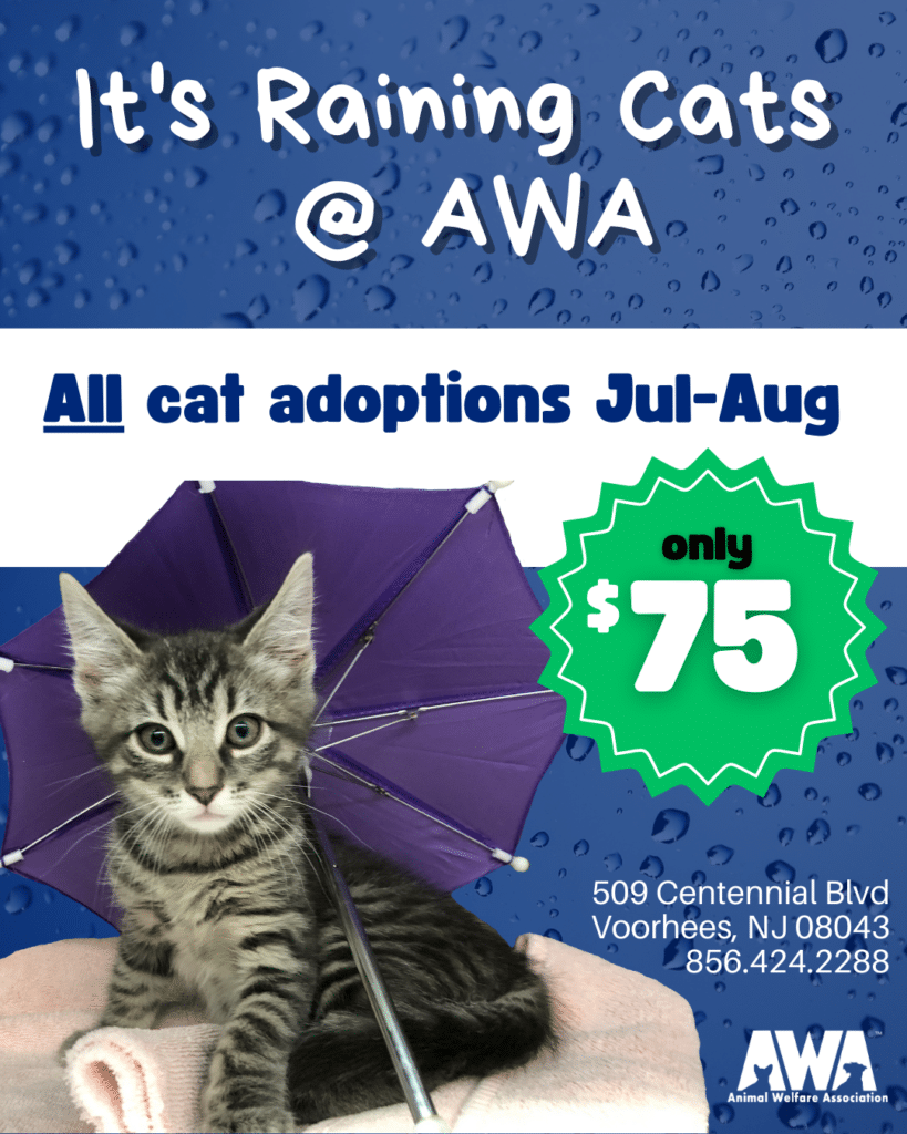 No-Kill Animal Shelter & Vet Clinic | Voorhees NJ | Animal Welfare ...